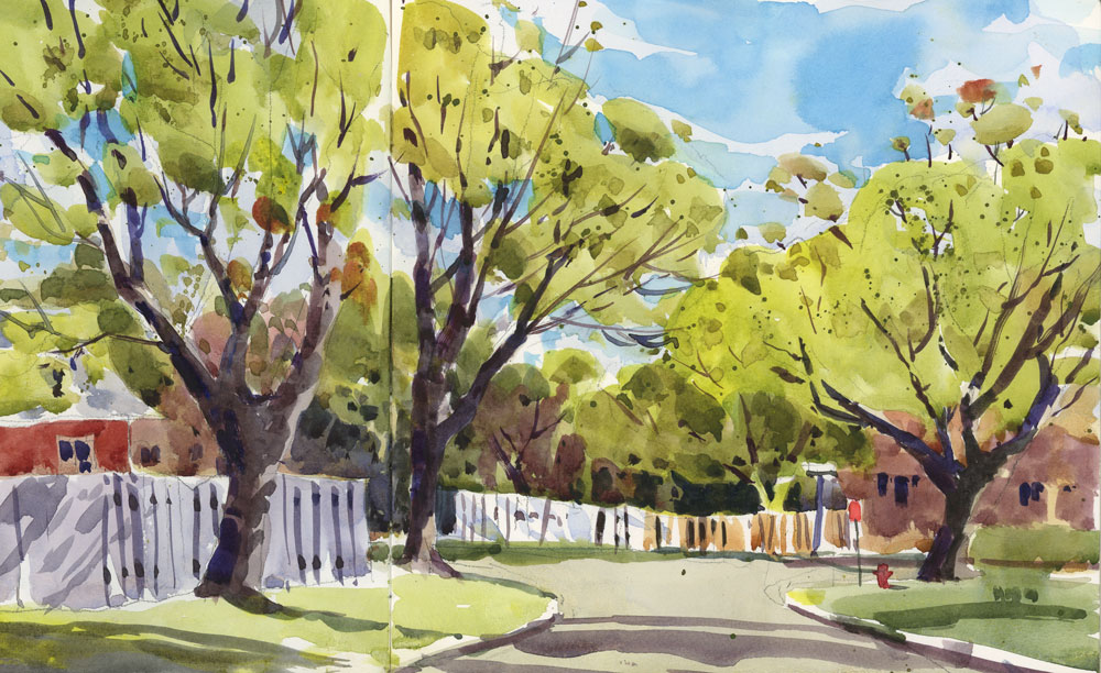 Spring in the hood | Shari Blaukopf's Sketchbook