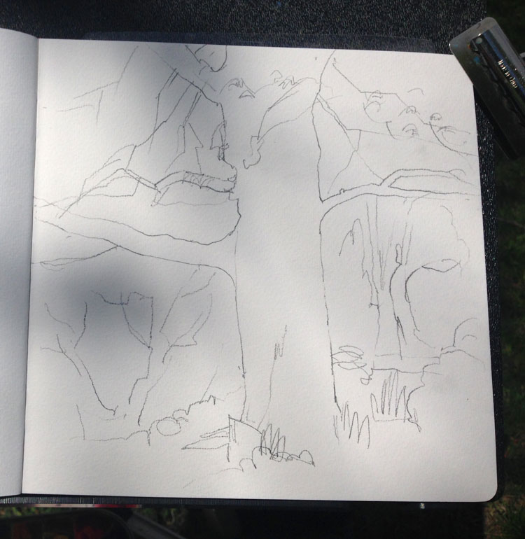 Maple tree: step-by-step | Shari Blaukopf's Sketchbook
