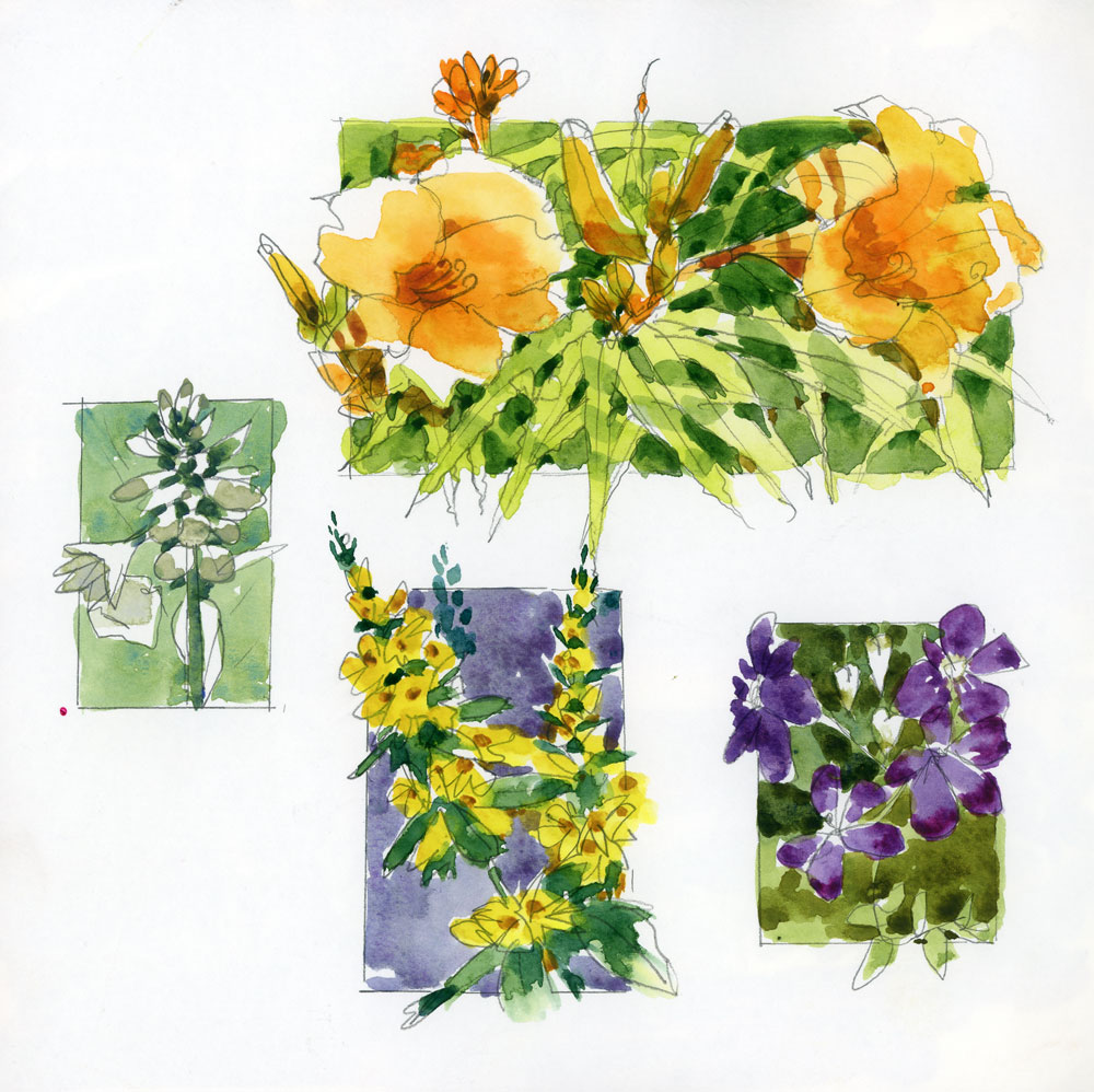 Leaves, stems and flowers: tips for garden sketchers | Shari Blaukopf's ...