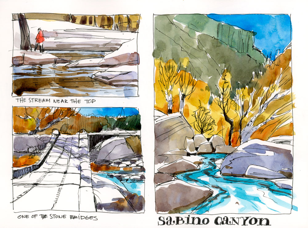 Sabino Canyon walk and draw | Shari Blaukopf's Sketchbook