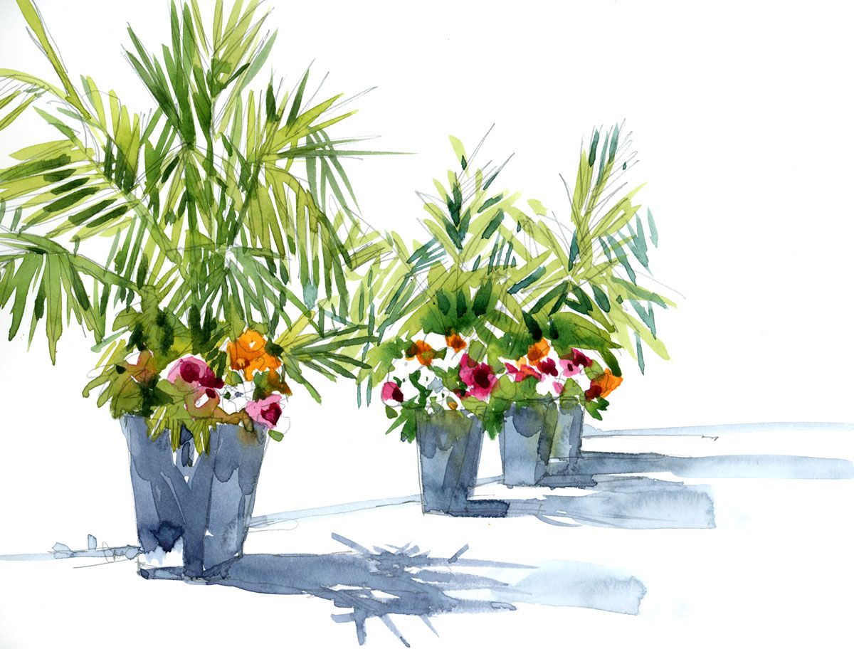 Here and there in the neighbourhood | Shari Blaukopf's Sketchbook